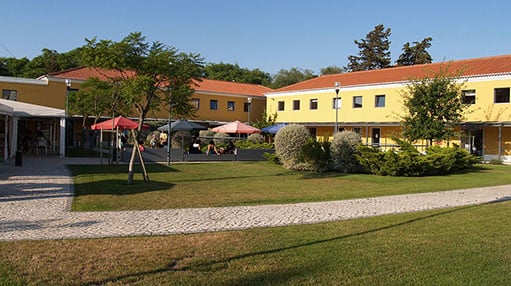 Licenciatura em Gestão de Marketing | IPAM Lisboa